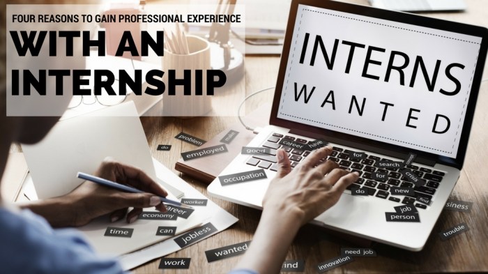Work Experience and Internships Your Career Launchpad | WageyMan